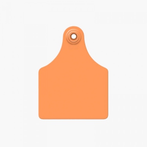 Allflex Maxi Tag - New Vision Agro